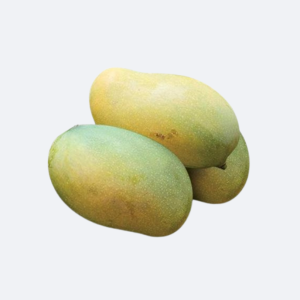 Happy Mango Processing Industry.